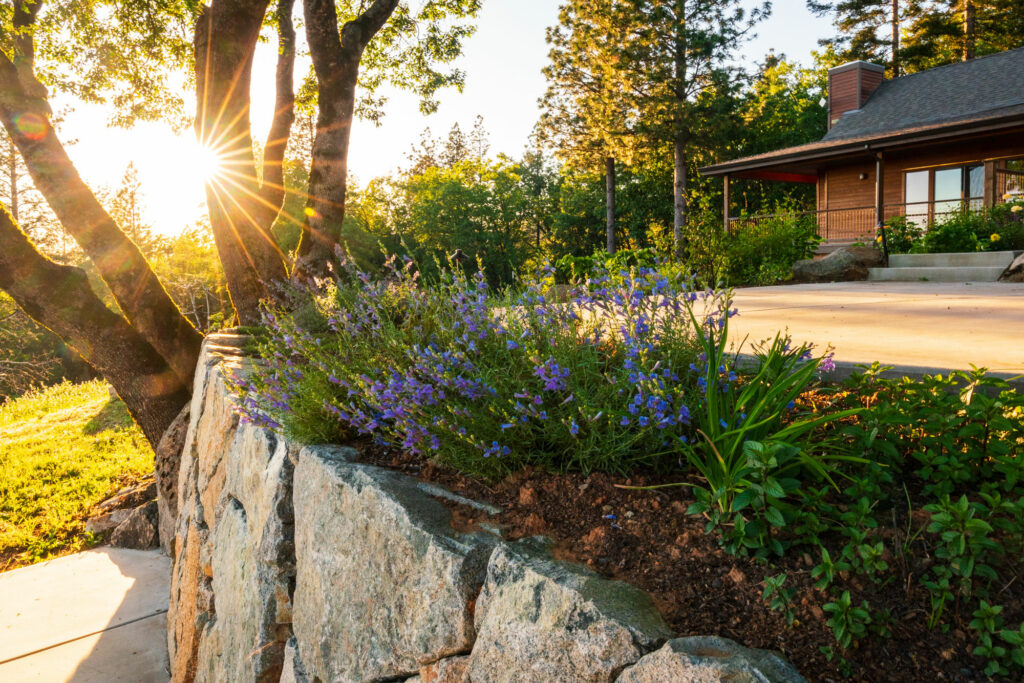 Gallery Overview – Weiss Landscaping